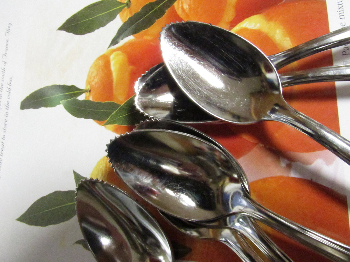 Vintage Grapefruit Citrus Spoons Art Deco Pattern Set of 7 Retro Atomi ...